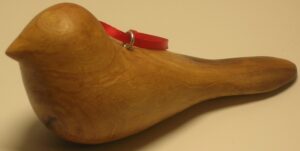 Bird List | The 100 Birds Project